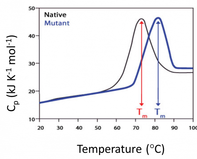 Differential Scanning Calorimetry | Biomolecular Interactions Facility ... Differential Scanning Calorimetry | Biomolecular Interactions Facility ...